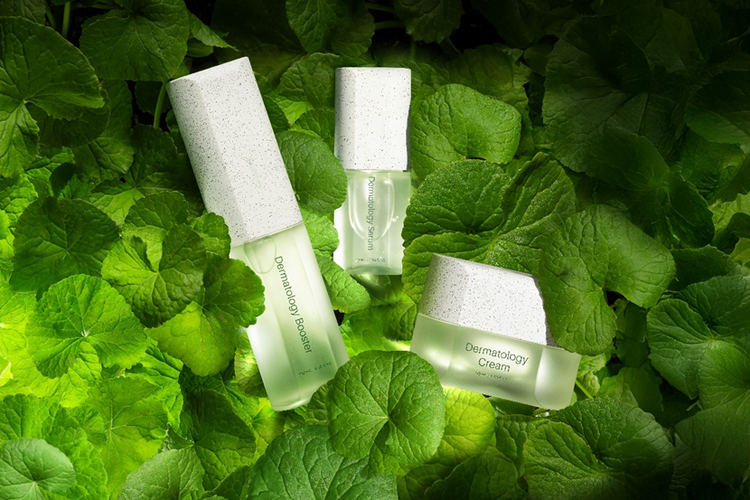 Incellderm ICD Skincare and Makeup Official Online Store